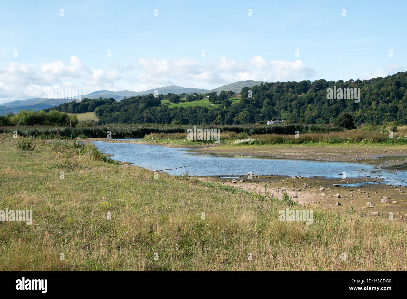 Conwy rspb reserve Banque de photographies et d’images à haute ...