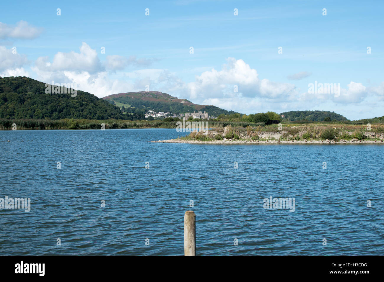 Conwy rspb reserve Banque de photographies et d’images à haute ...