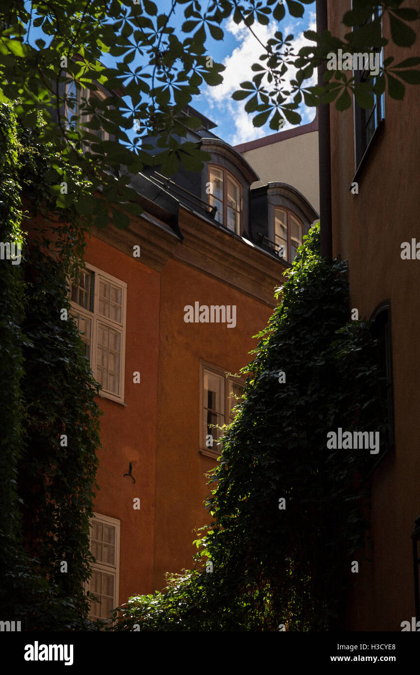 Brända tomten Banque de photographies et d’images à haute résolution ...