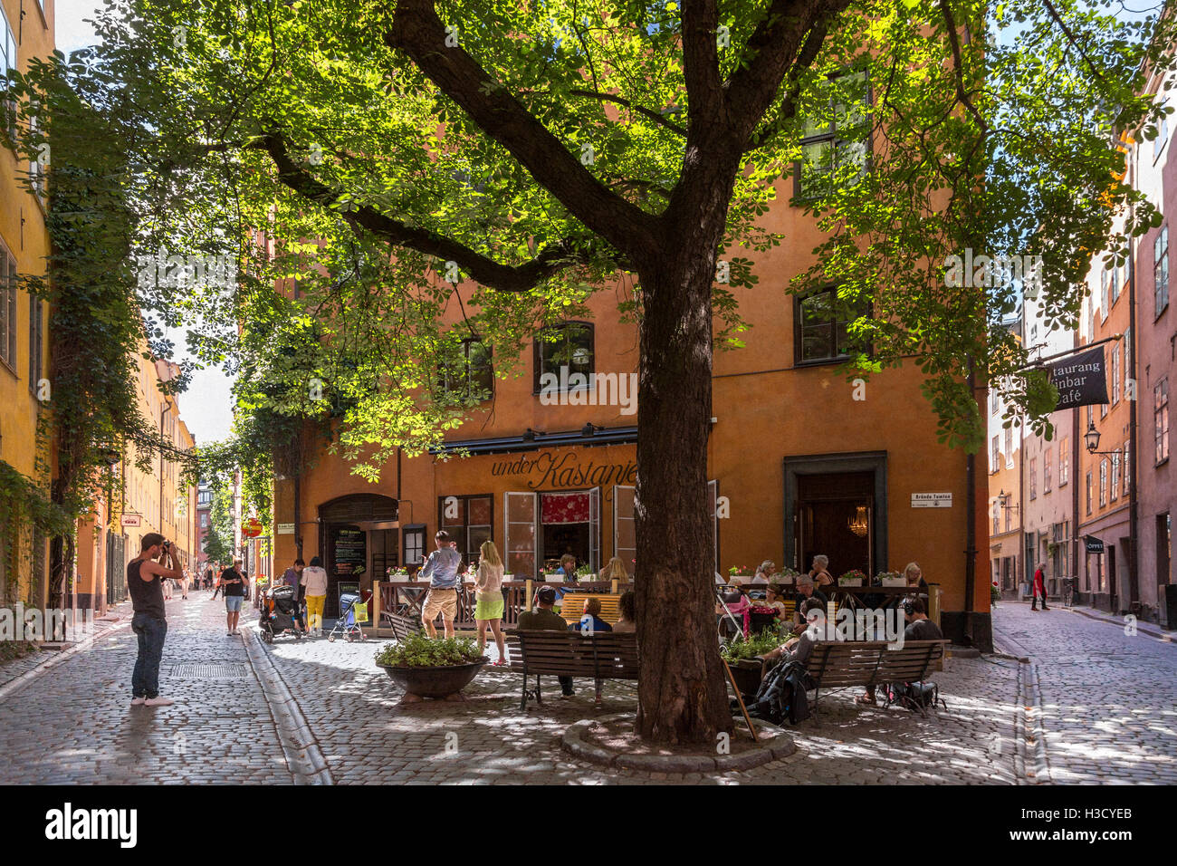 Brända tomten Banque de photographies et d’images à haute résolution ...