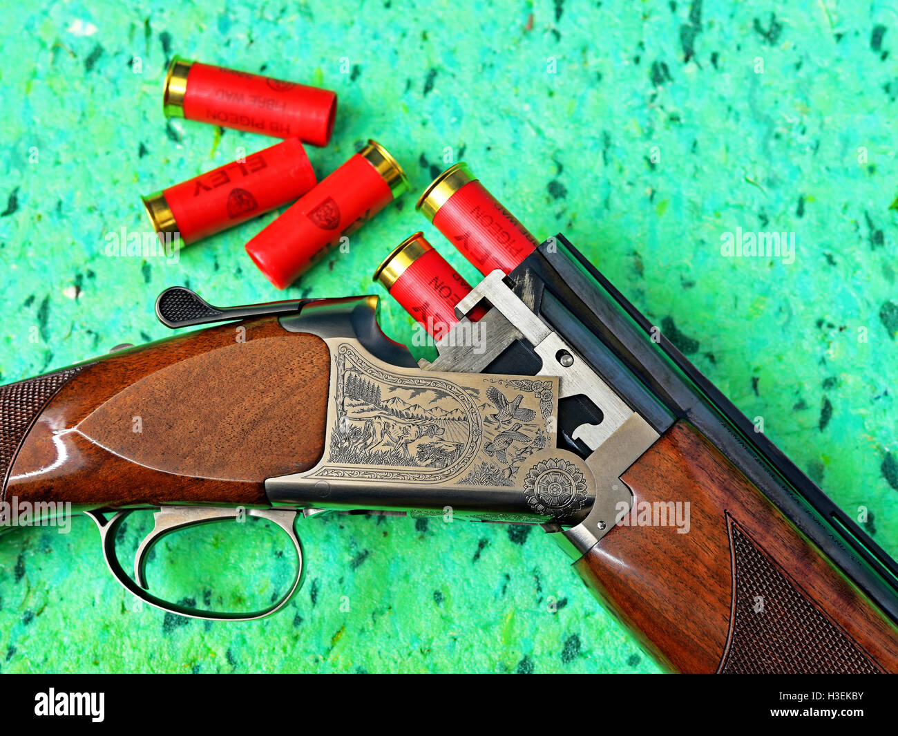 12 cartouches de fusil de chasse Banque de photographies et d’images à ...