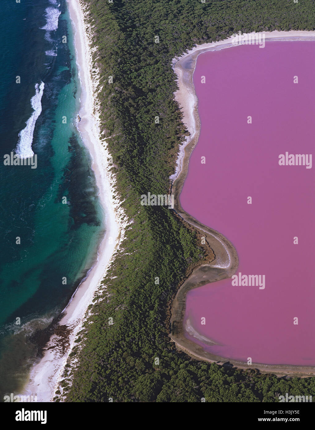 Lac rose australie Banque de photographies et d’images à haute ...