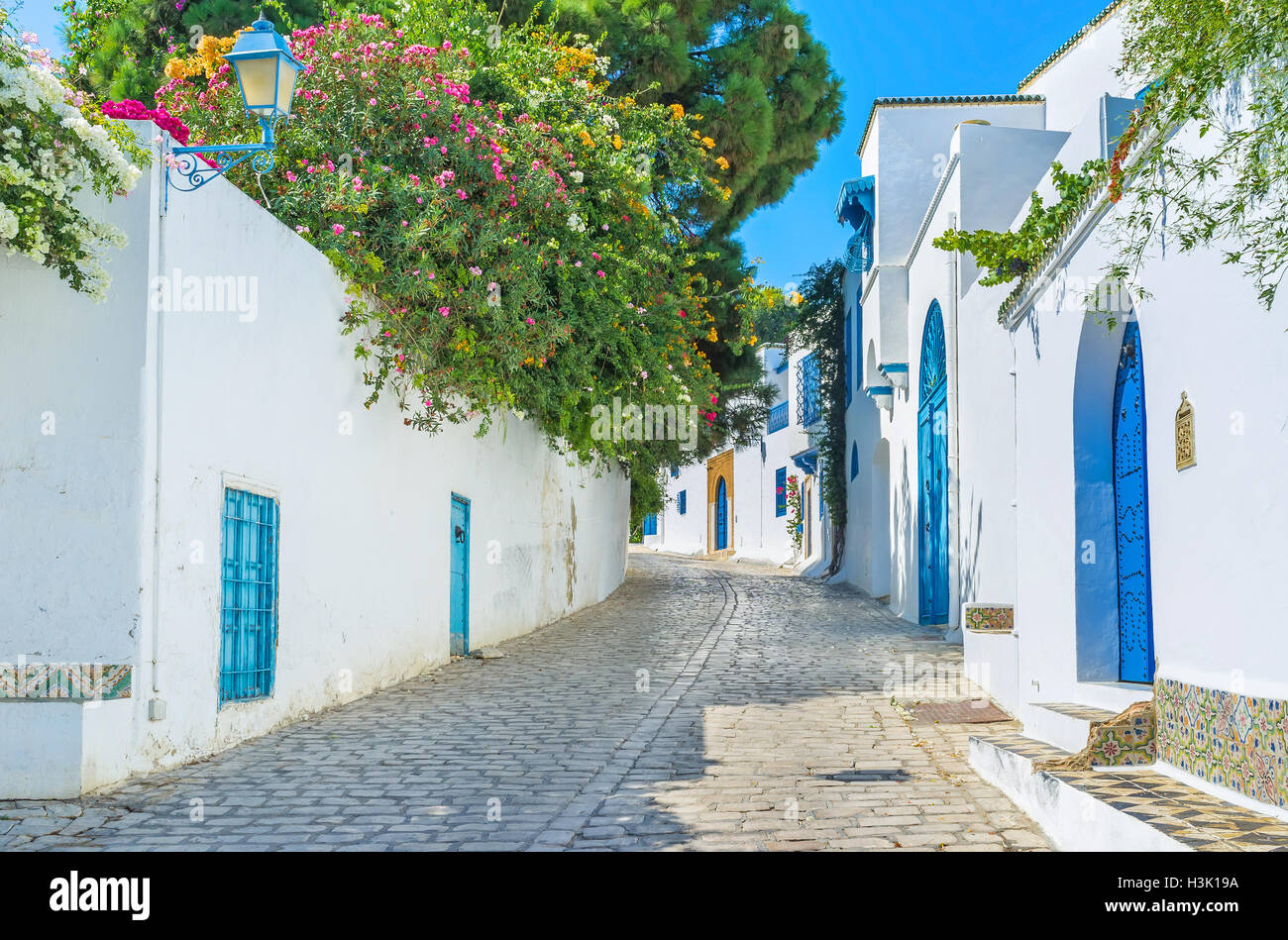 Le village de Sidi Bou Said dispose de la luxuriante verdure dans des ...