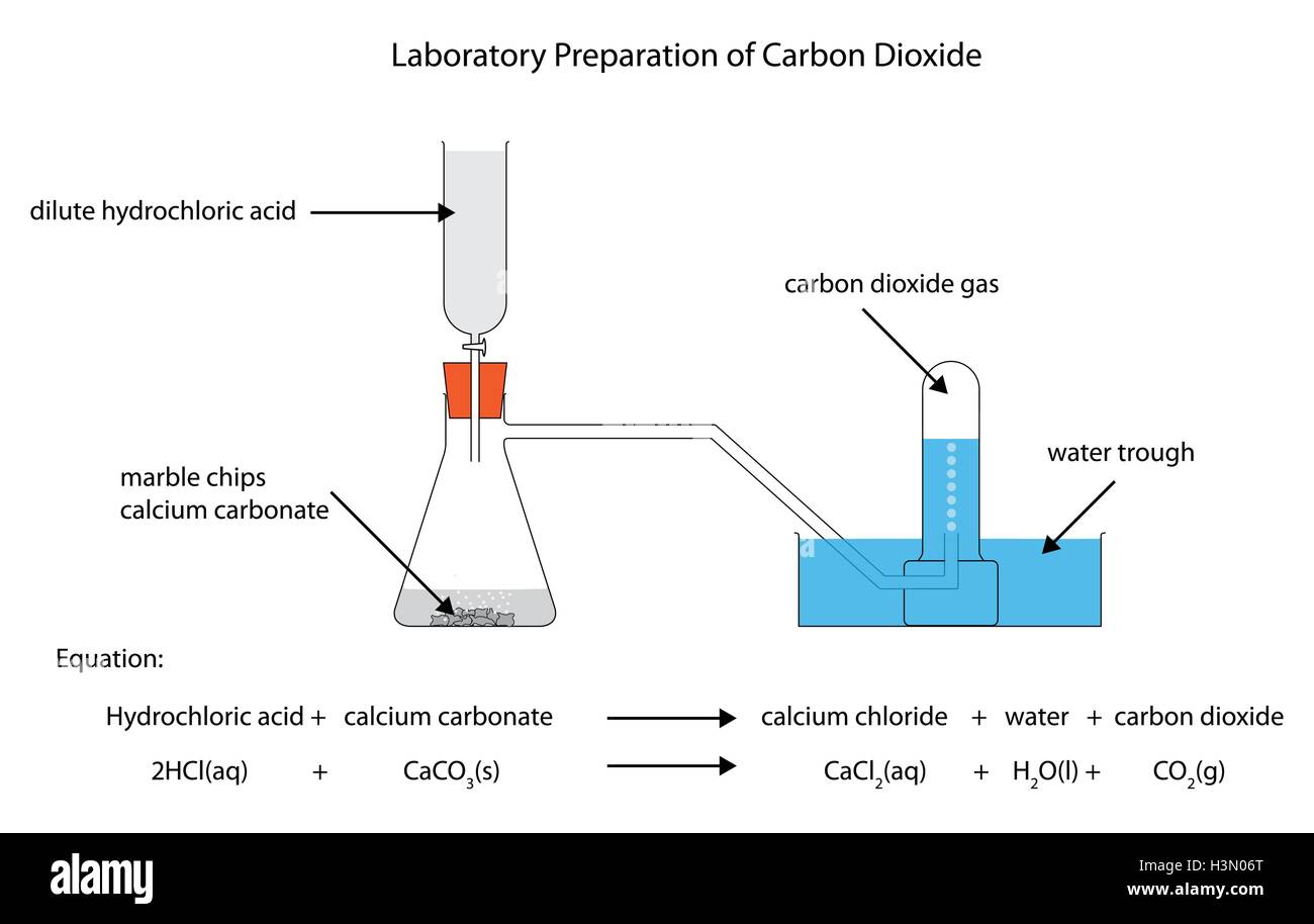 Schéma de la préparation en laboratoire de dioxyde de carbone de l'acide chlorhydrique et du ...
