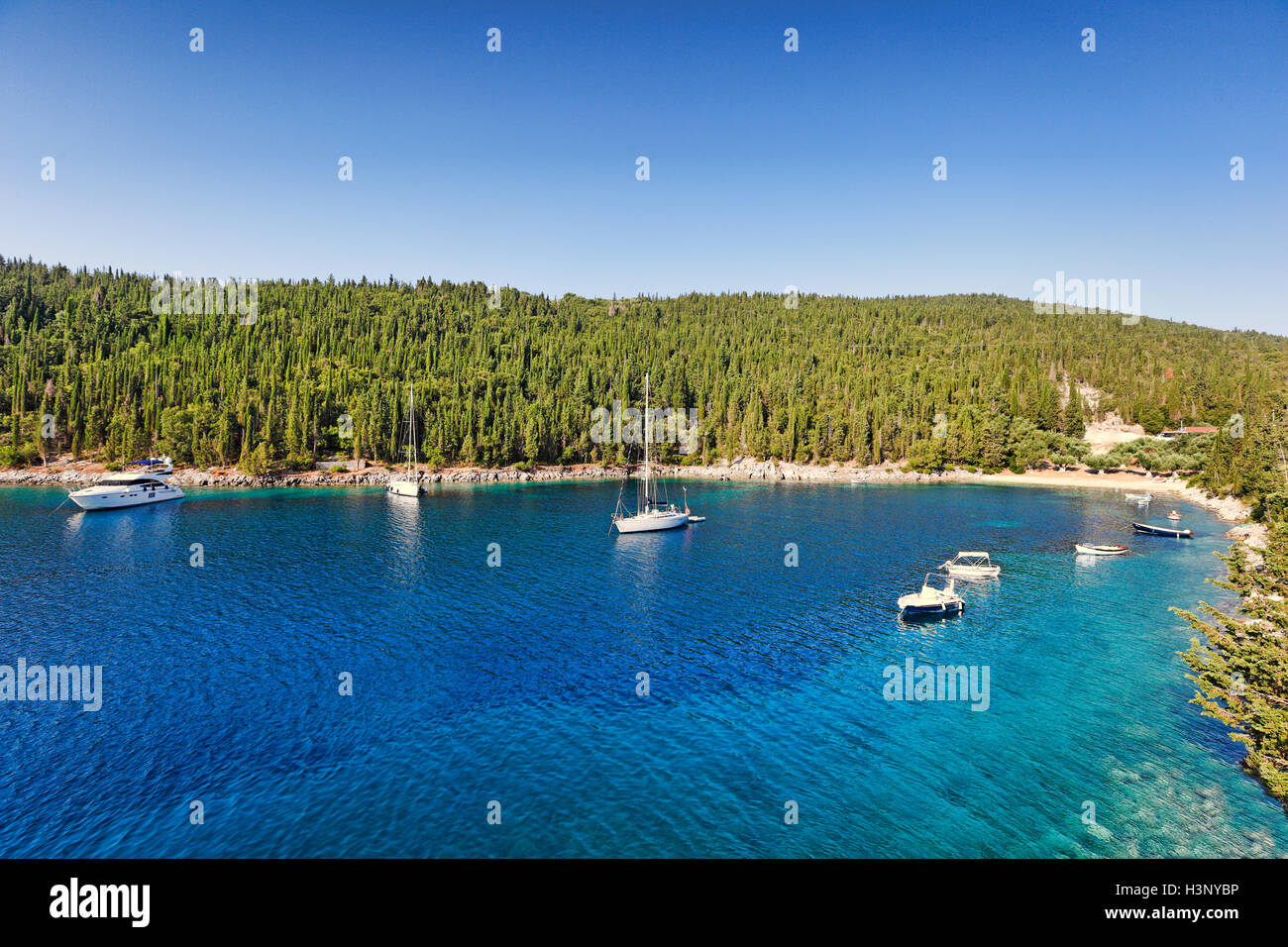 Foki Banque de photographies et d’images à haute résolution - Alamy