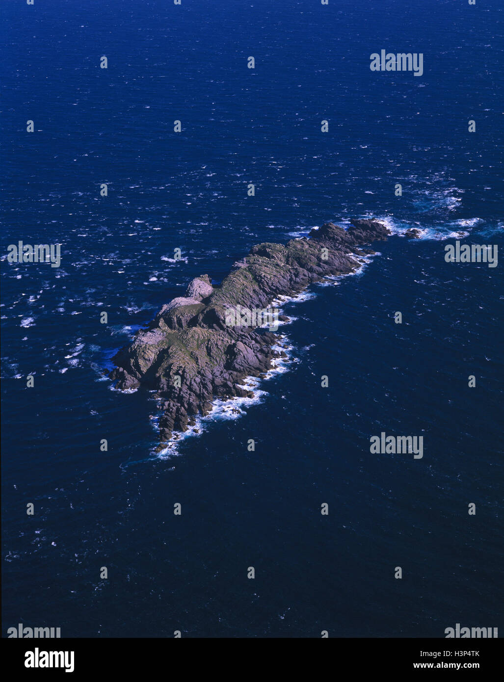 Albatross island Banque de photographies et d’images à haute résolution ...