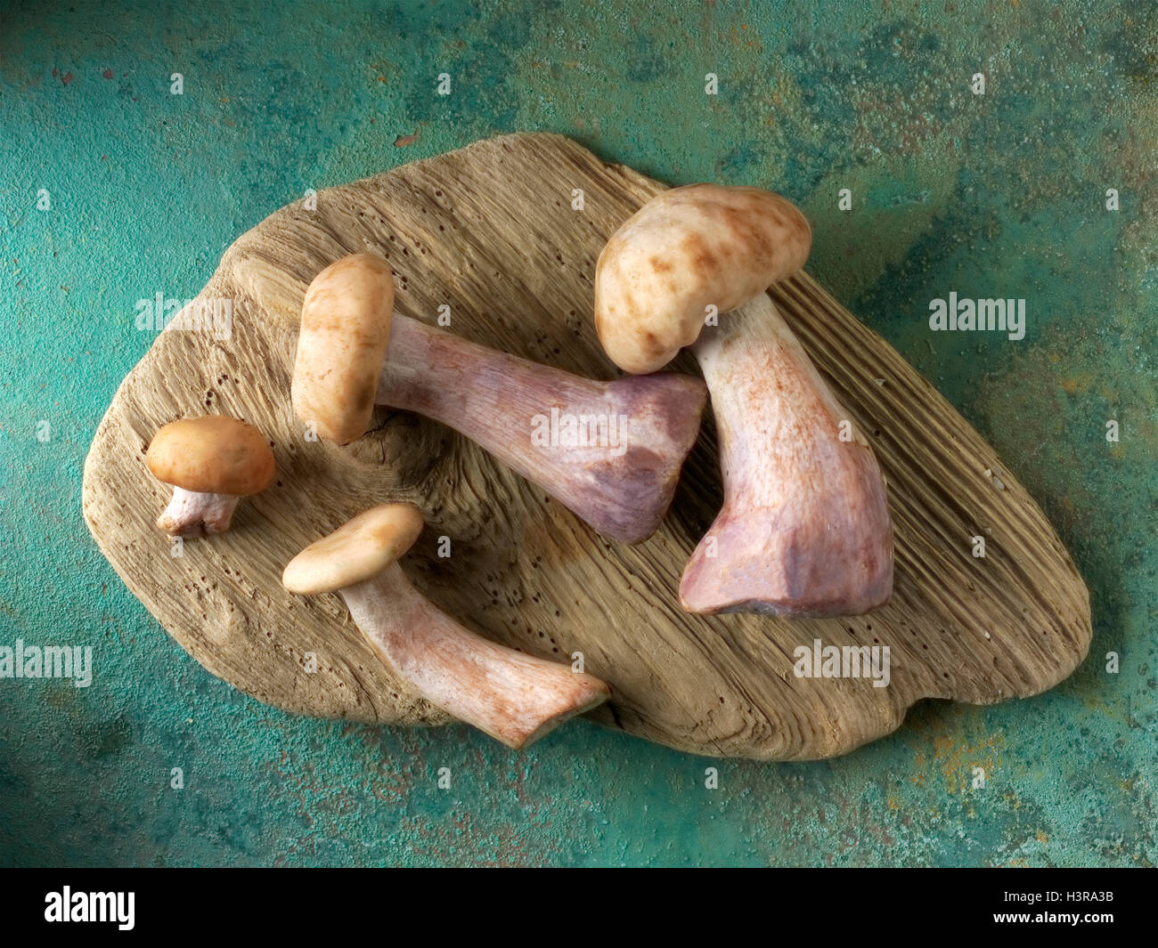 Champignon Pied Bleu Banque d'image et photos - Alamy