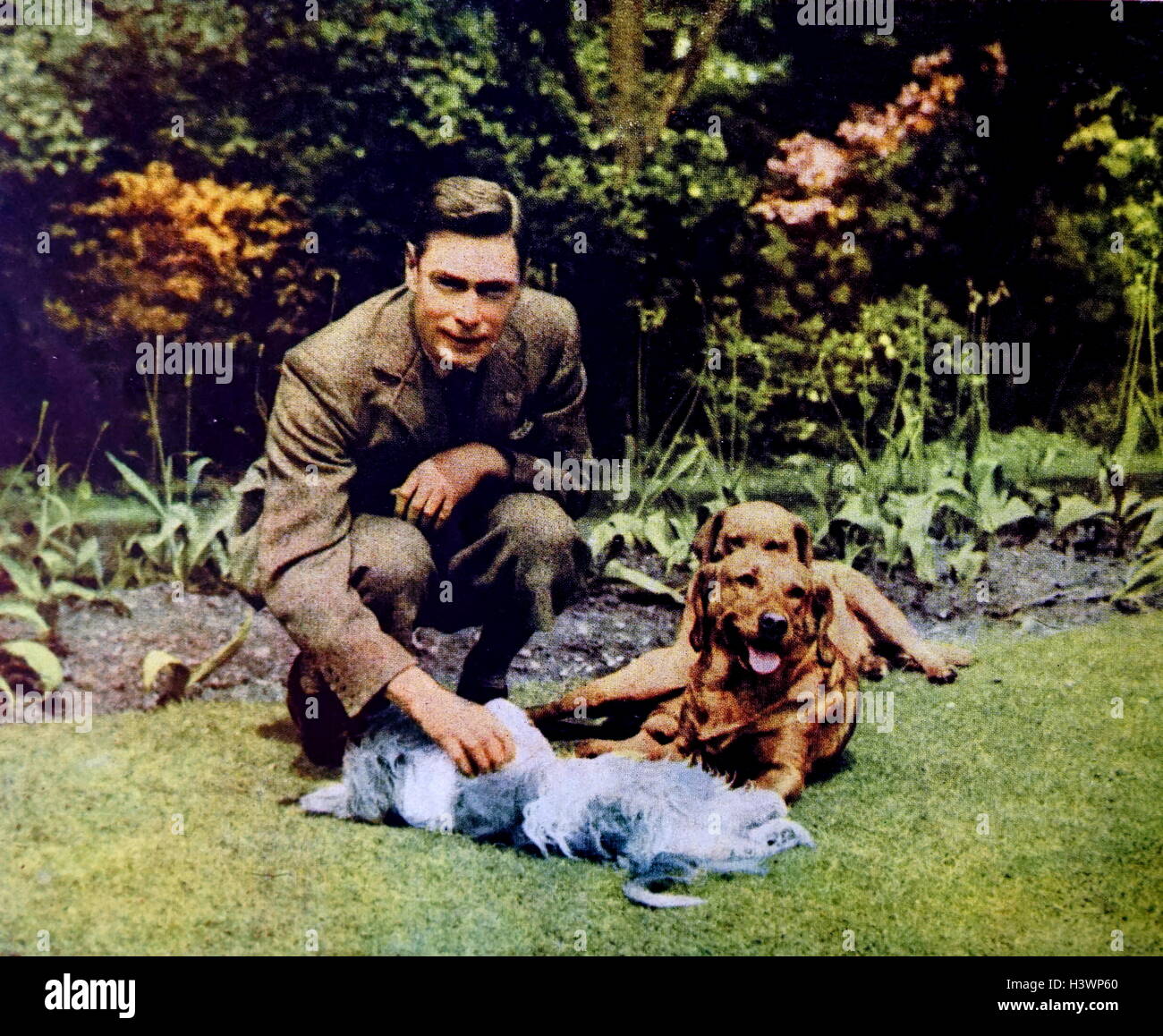 King george vi colour Banque de photographies et d’images à haute ...