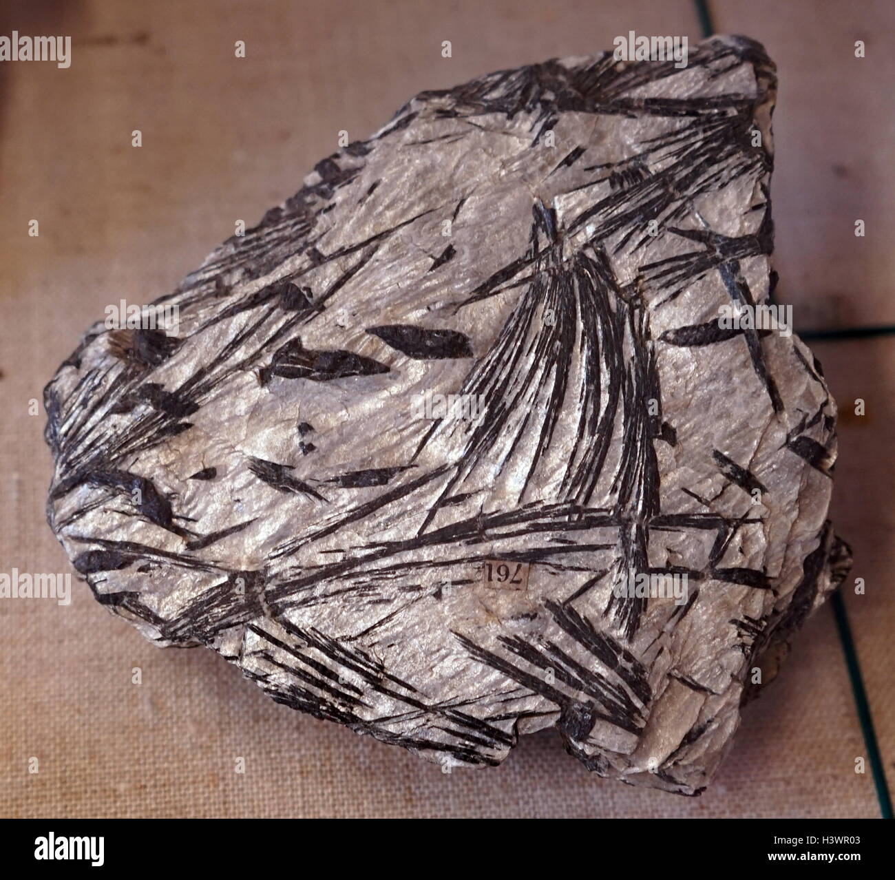 Acicular crystals Banque de photographies et d’images à haute ...