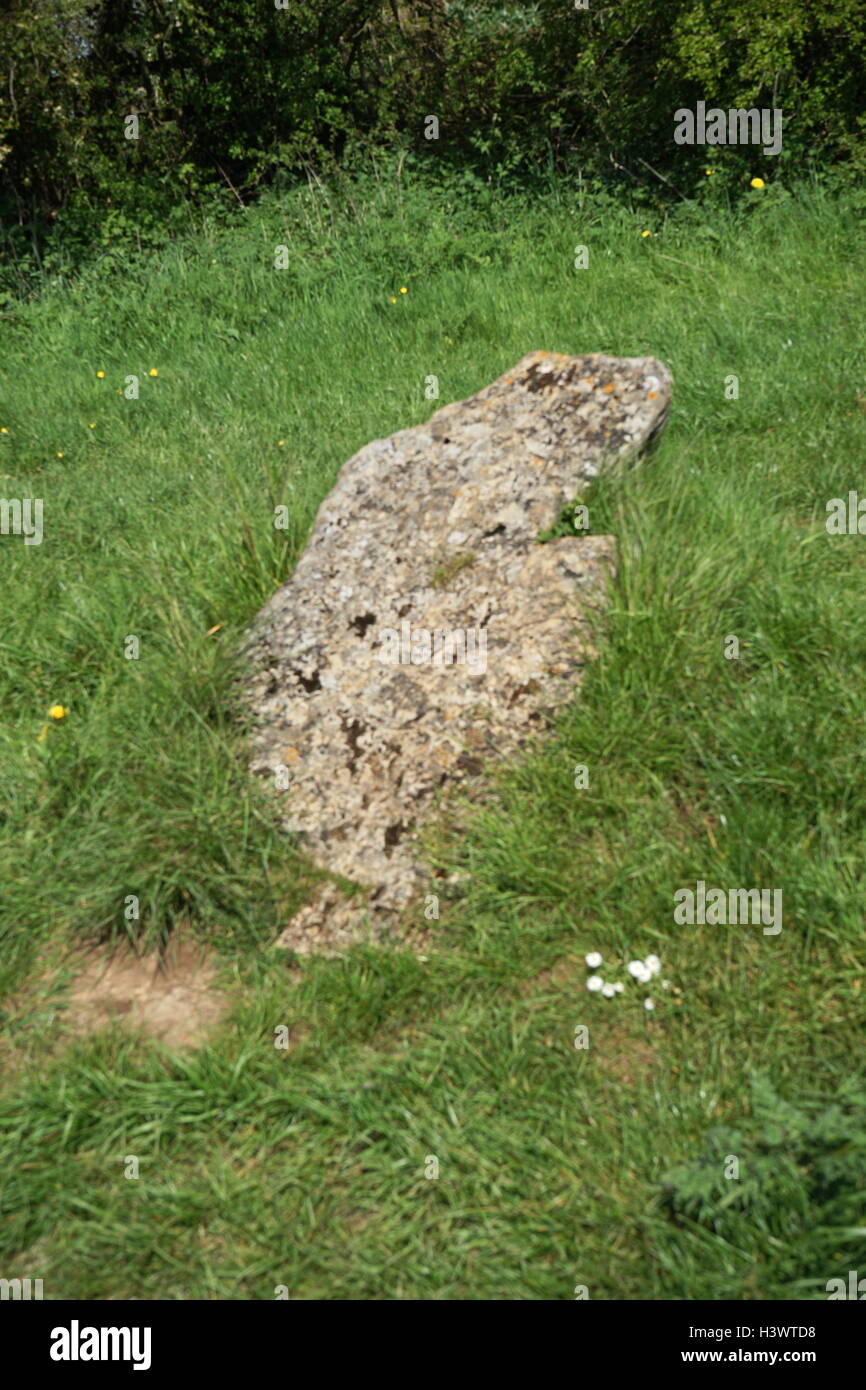 Les hommes du roi Stone Circle qui fait partie de l'Rollright Stones ...