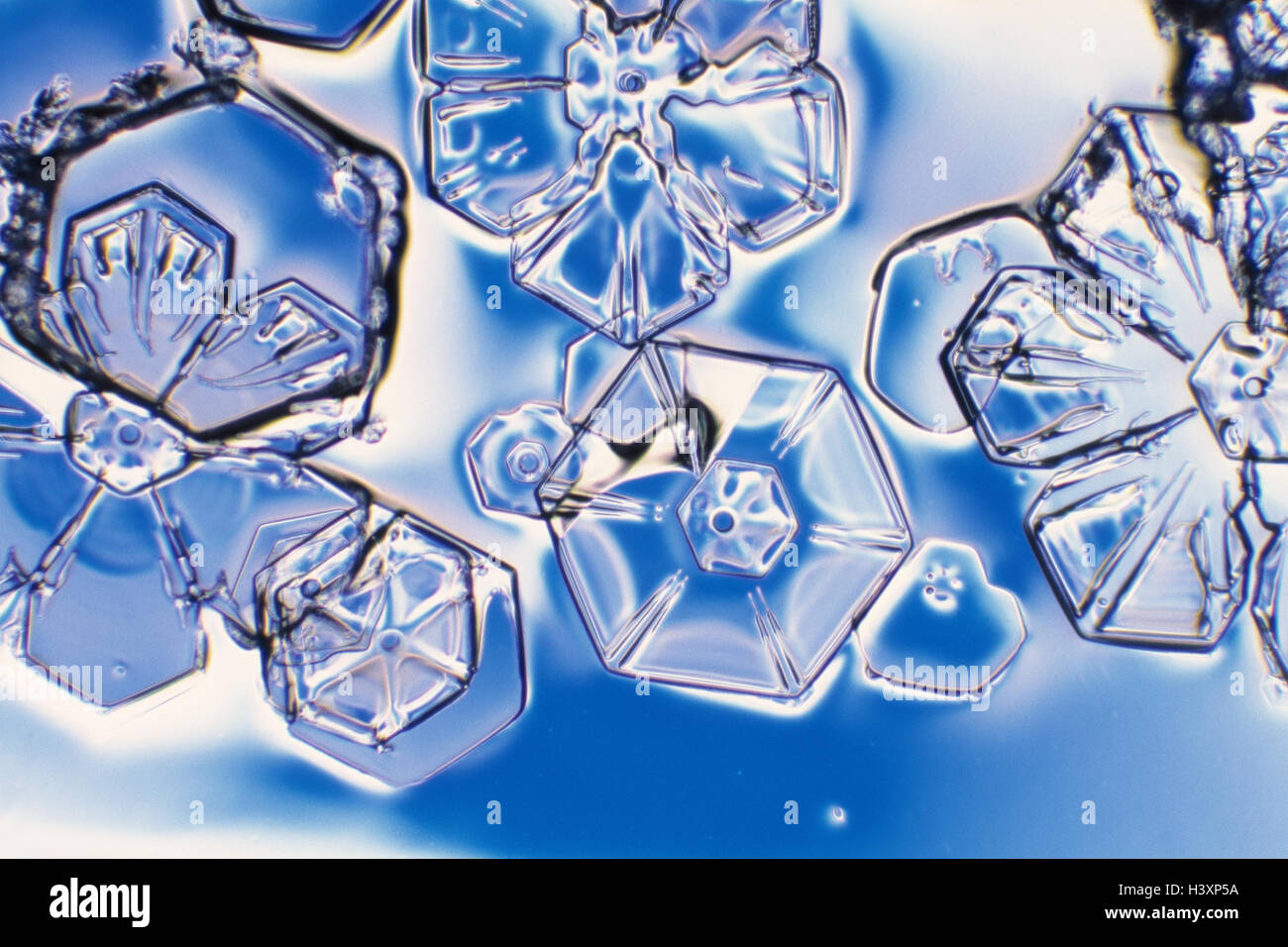 Cristaux de glace microscope Banque de photographies et d’images à haute résolution - Alamy