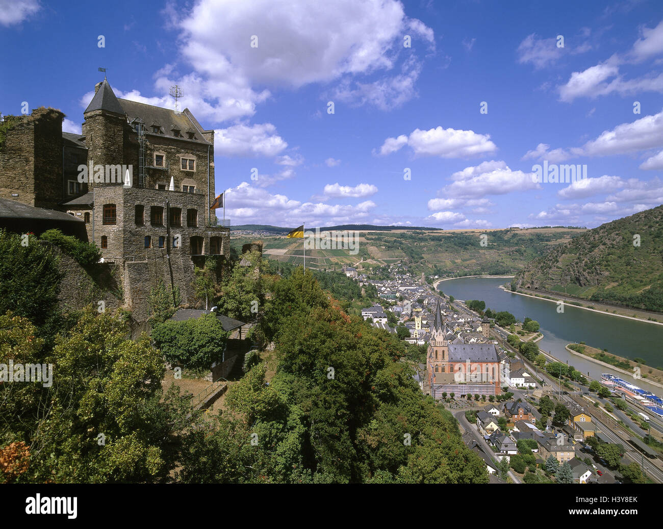 Allemagne, Rhénanie-Palatinat, vallée du Rhin, le château de nice ...