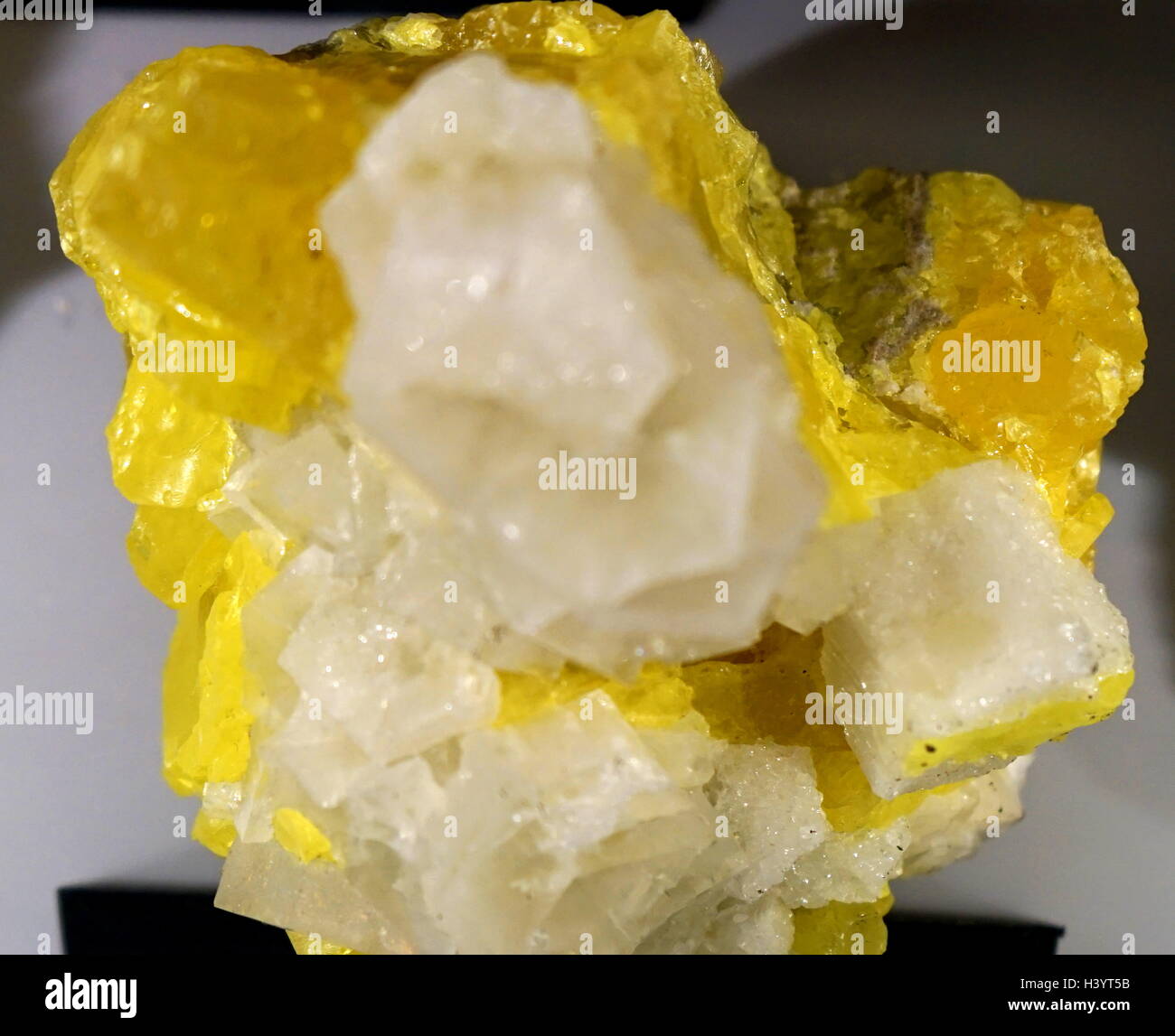 Sulfur element Banque de photographies et d’images à haute résolution ...