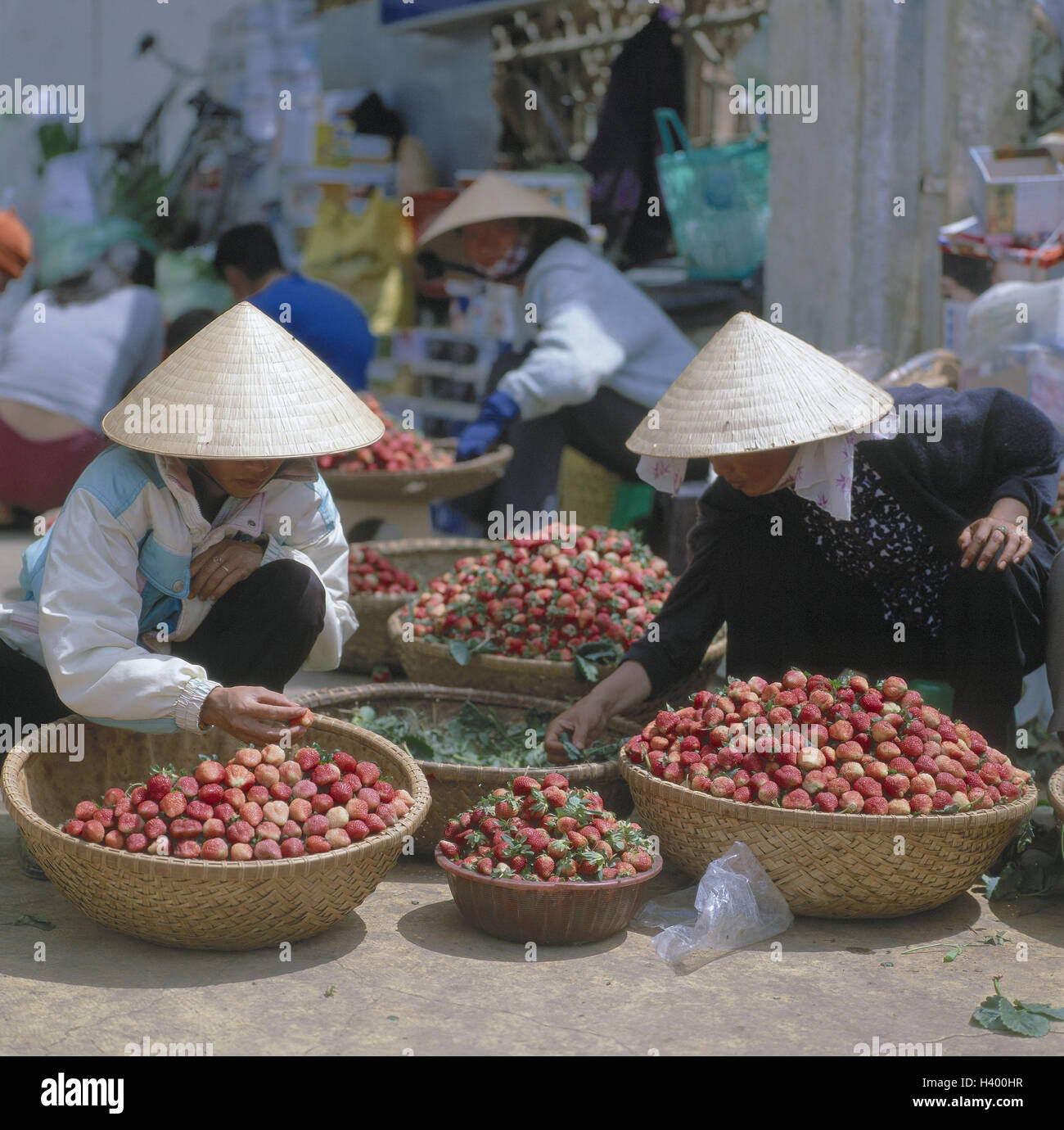 Da lat fraises Banque de photographies et d’images à haute résolution ...