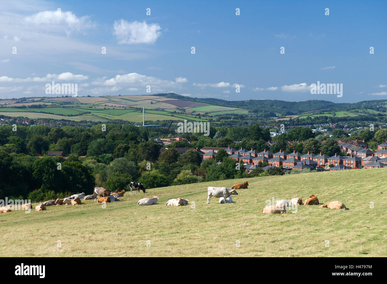 Devon country park Banque de photographies et d’images à haute ...