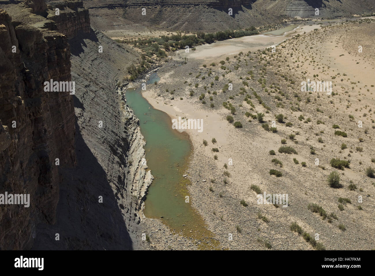 Garib huile de poisson statut travail parc animalier Banque de ...