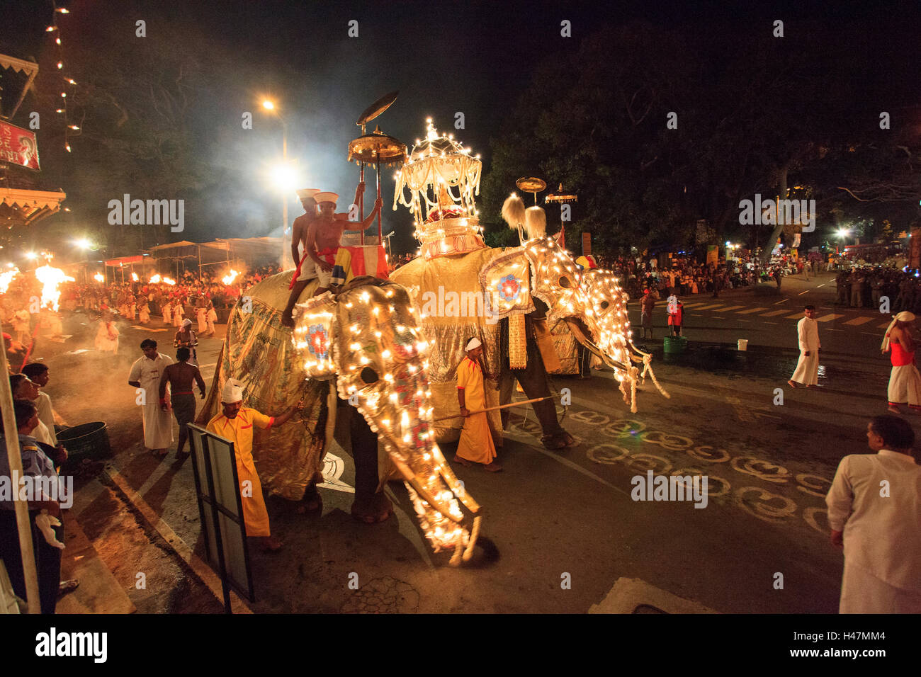 Les éléphants prenant part à l'Esala Perahera à Kandy au Sri Lanka ...