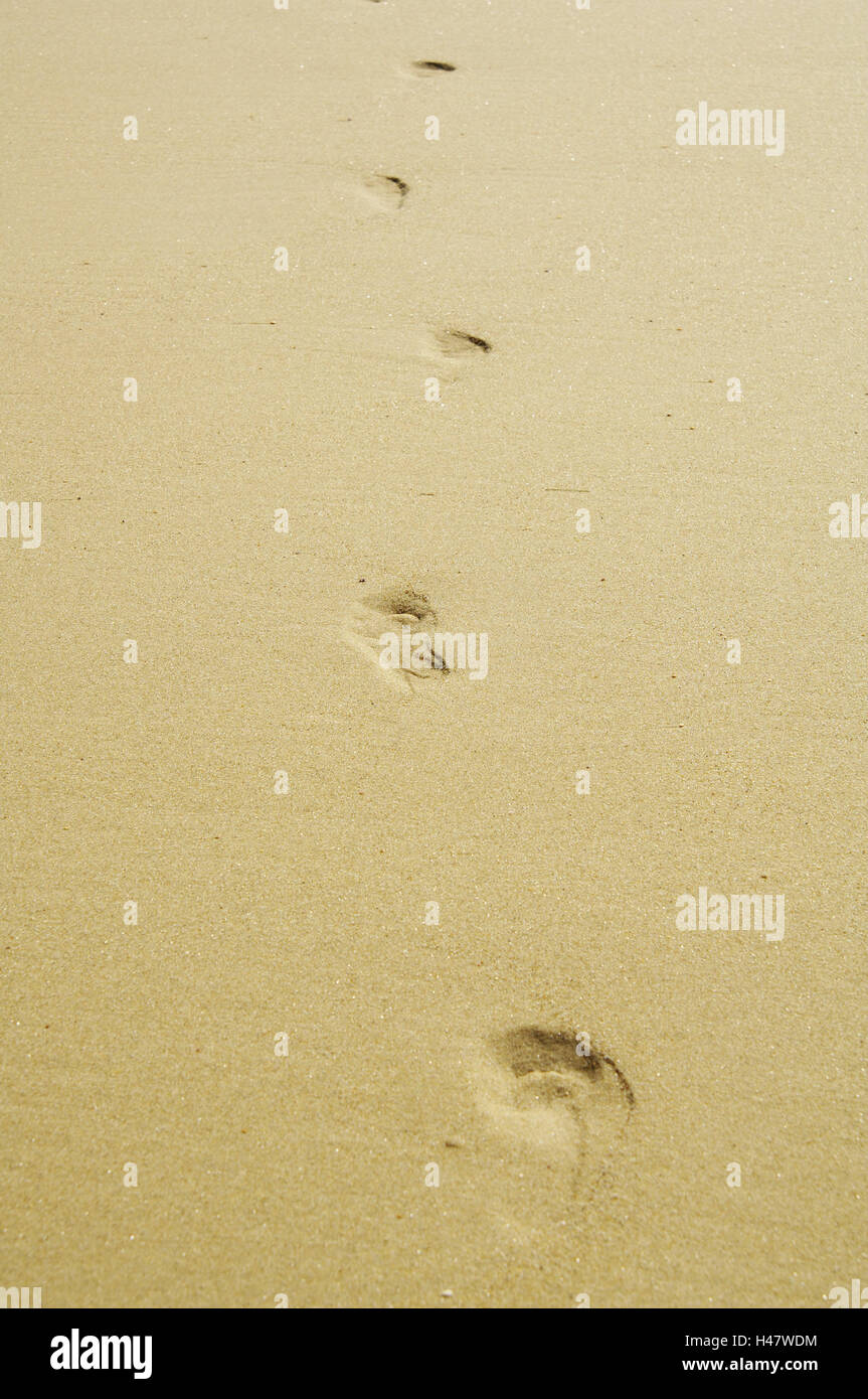 Footprints, sable, plage, plage de sable fin, les voies, voie ...