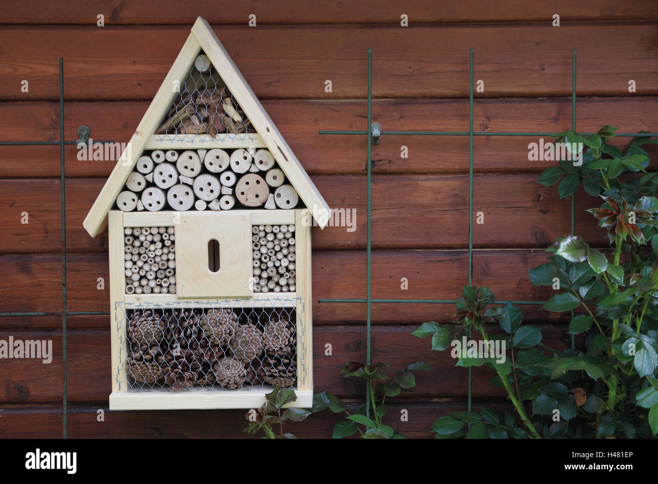 Maison des insectes, format horizontal, d'insectes, des insectes, des ...