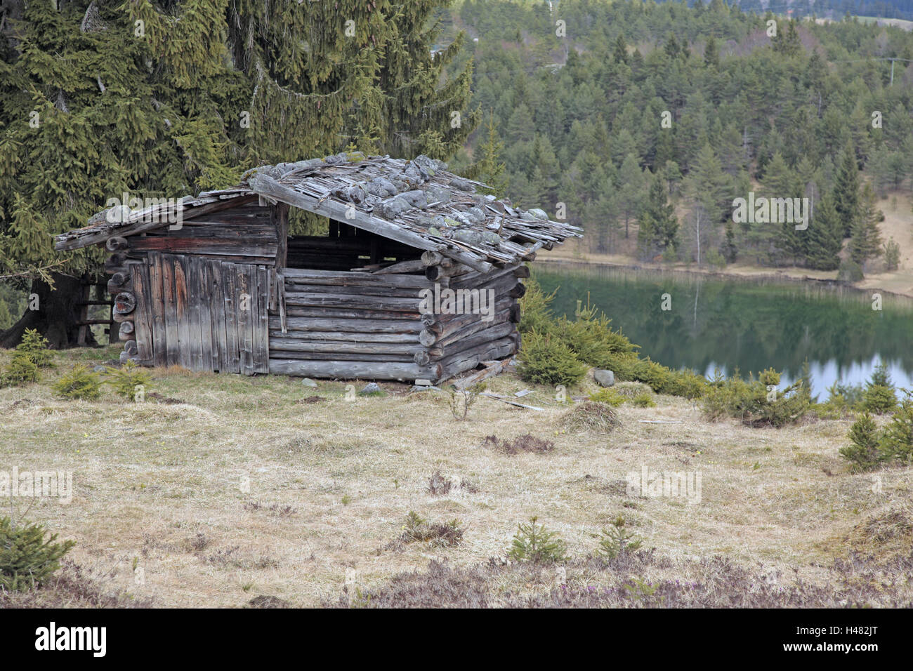 Vieille cabane en bois dans la forêt Banque de photographies et d ...