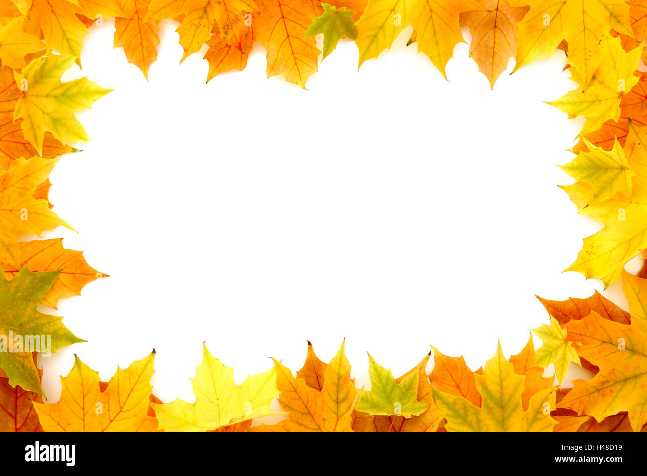 Châtaigne d'automne Banque de photographies et d’images à haute ...