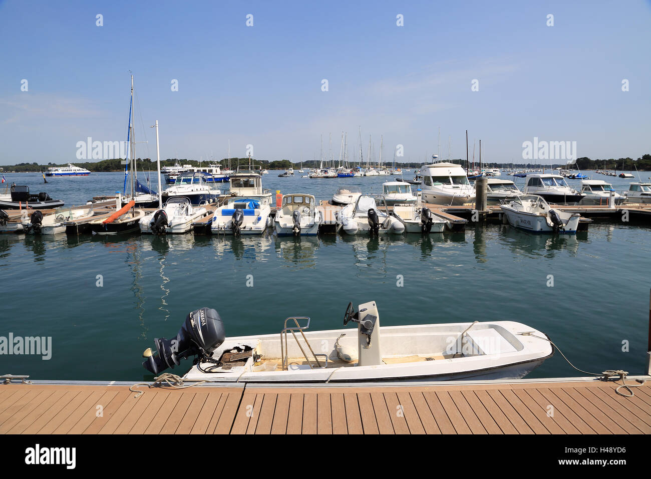 Benoni praud Banque de photographies et d’images à haute résolution - Alamy