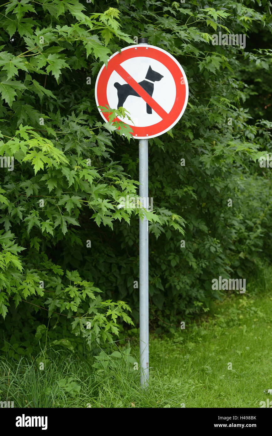 Panneau interdiction chien Banque de photographies et d’images à haute ...