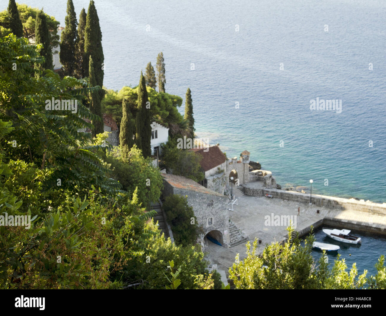 La Croatie, Dalmatie, Trsteno avec Dubrovnik, l'arboretum de Trsteno ...