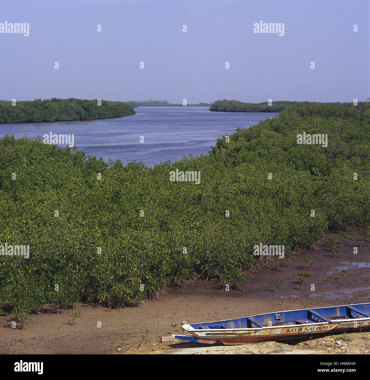 Le Sénégal, Sine Saloum, delta du fleuve Saloum, Toubacouta, mangroves ...