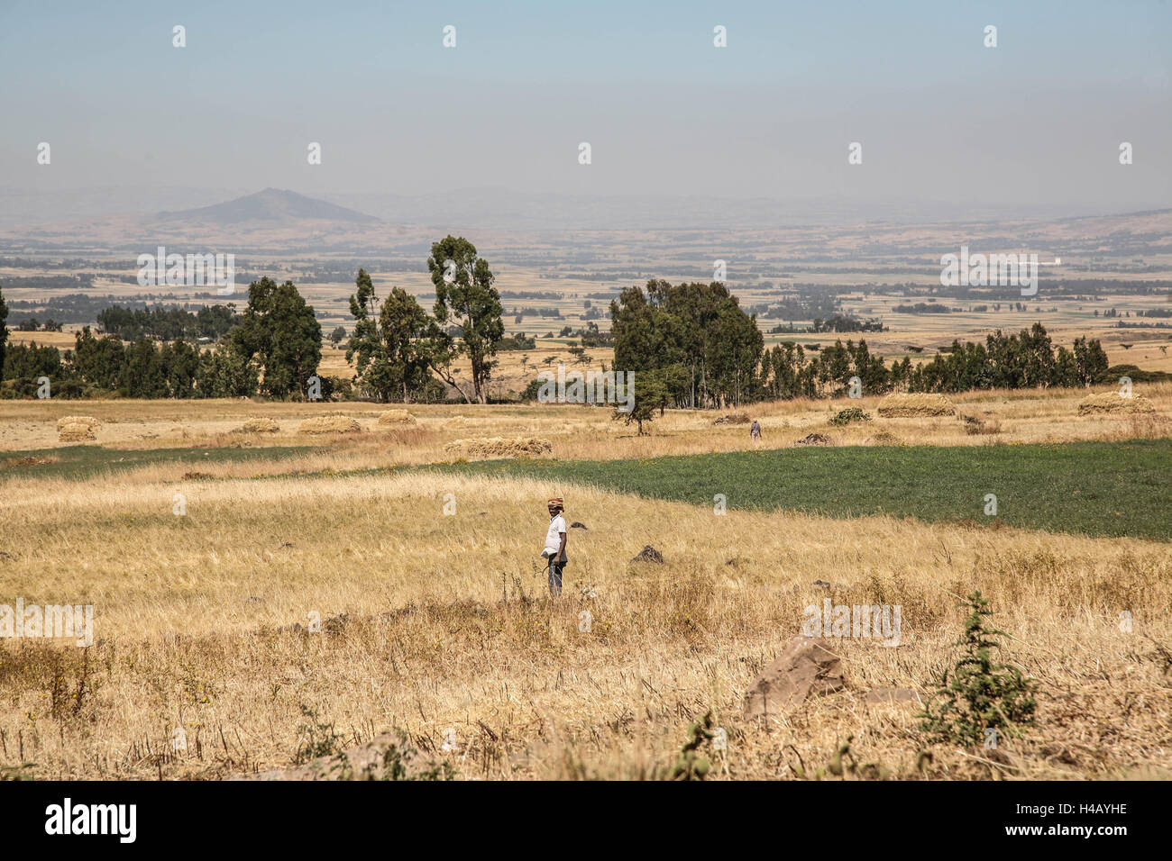 The minch Banque de photographies et d’images à haute résolution - Alamy