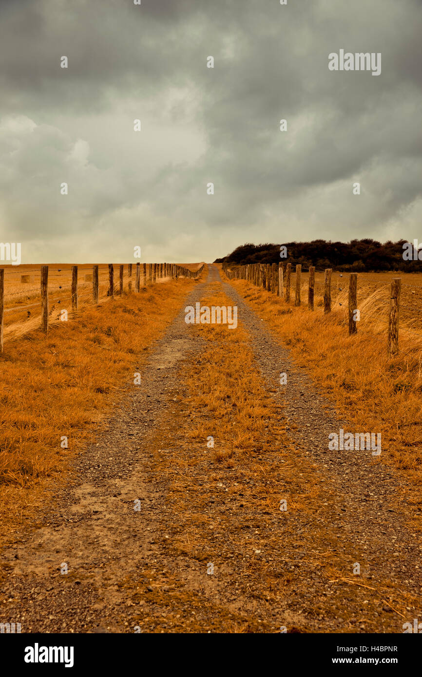 Marcher dans un chemin de campagne Banque de photographies et d’images ...