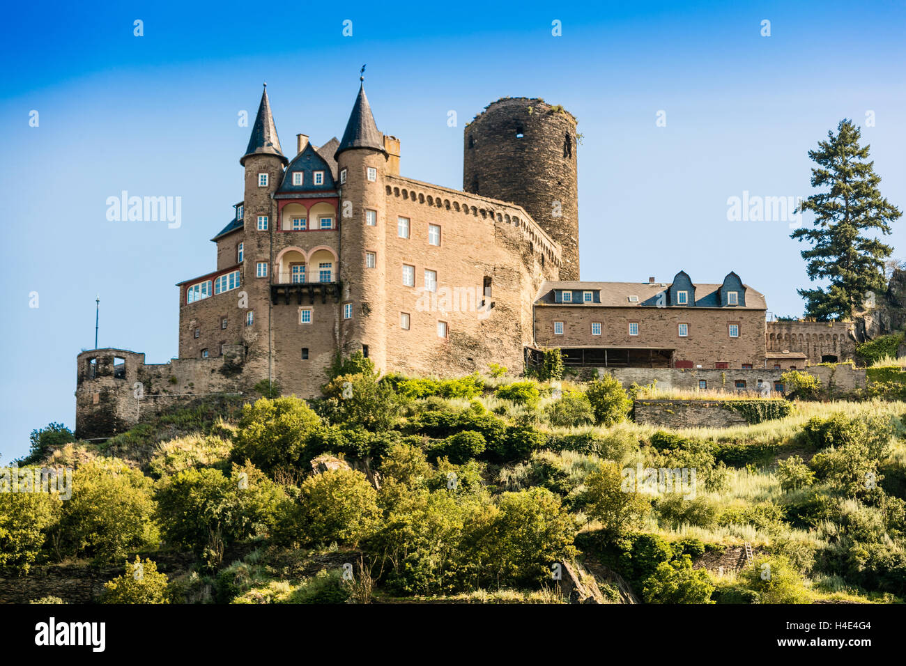 Rhine castle Banque de photographies et d’images à haute résolution - Alamy