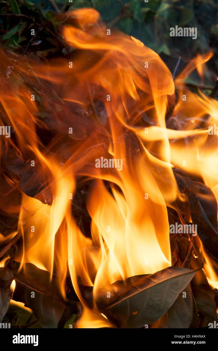 La combustion des feuilles Banque de photographies et d’images à haute ...