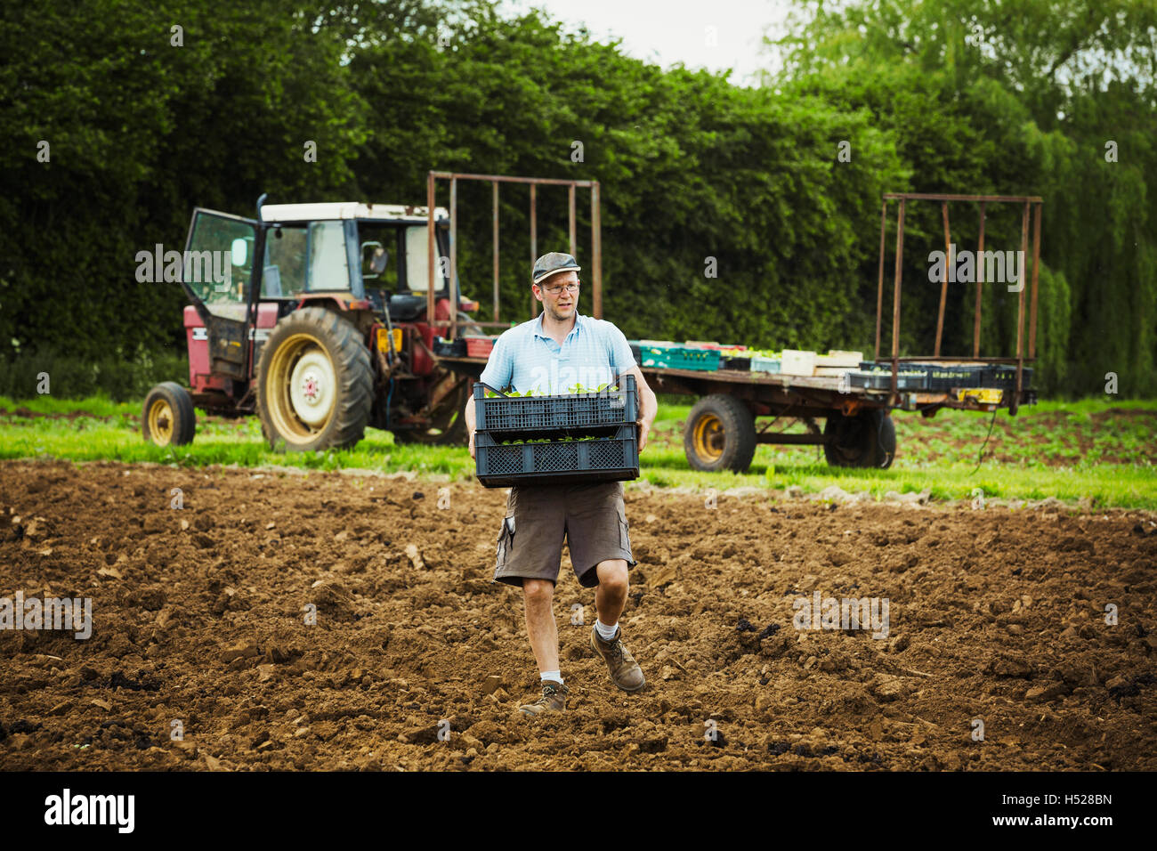 Homme tient un plateau Banque de photographies et d’images à haute ...