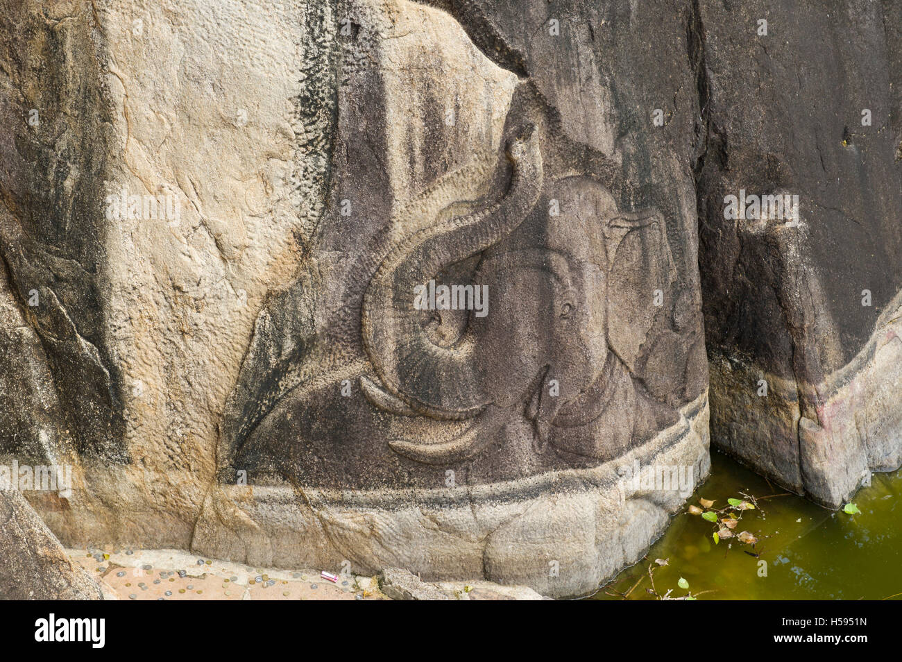 La sculpture de l'éléphant, Isurumunjya Isurumuni, temple Maha Vihara ...
