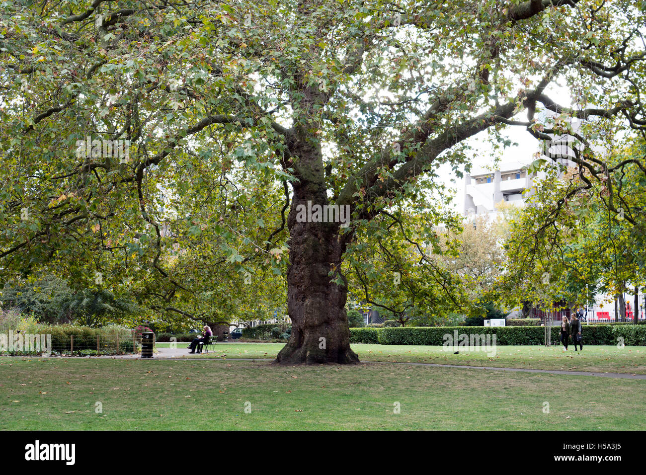 Parque brunswick Banque de photographies et d’images à haute résolution ...
