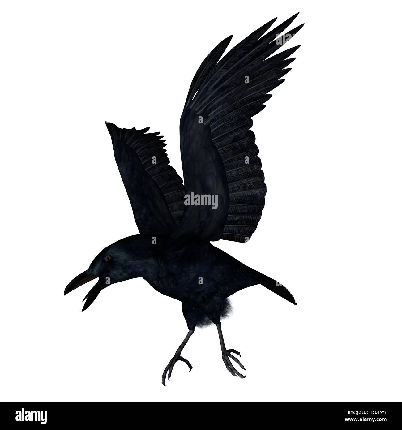 Vol du corbeau noir sur fond blanc - 3D render Photo Stock - Alamy