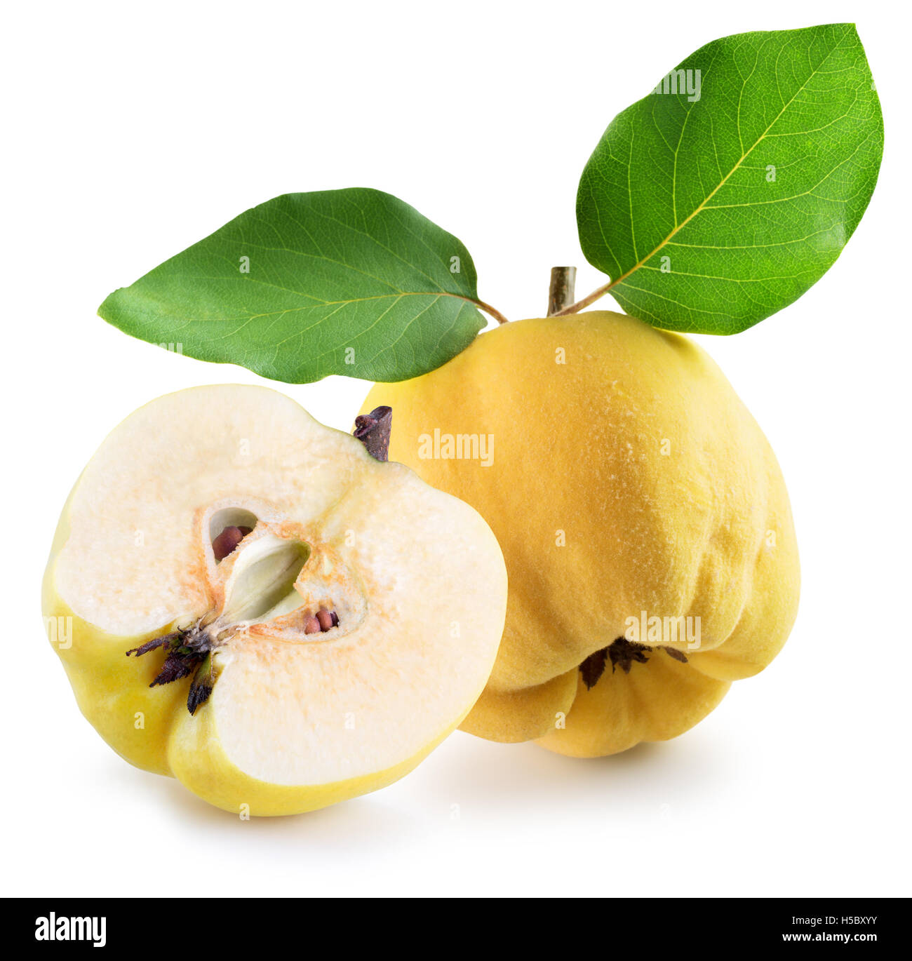 Coings d'automne jaunes Banque de photographies et d’images à haute ...