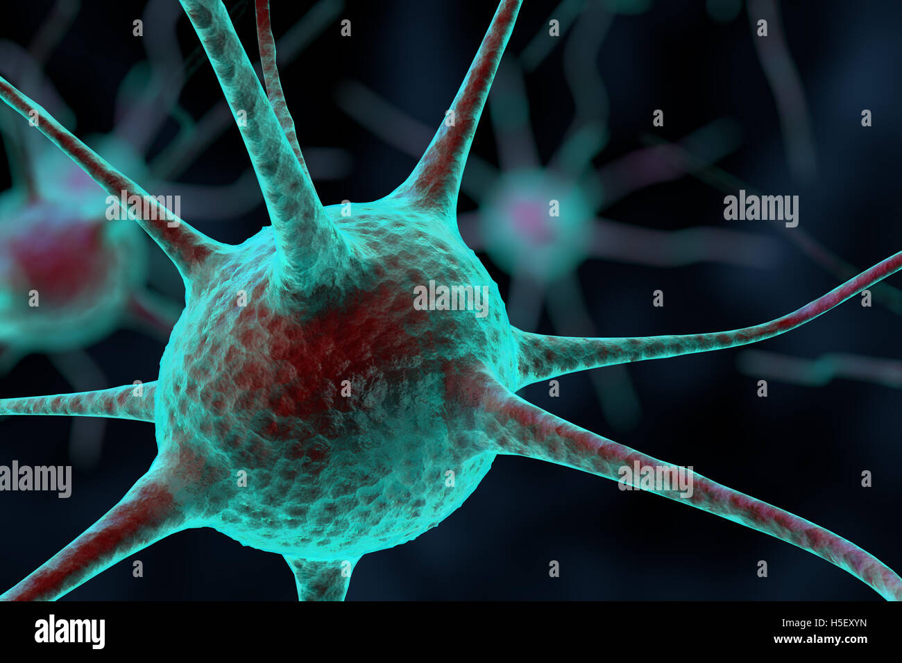 Nerve cell Banque de photographies et d’images à haute résolution - Alamy