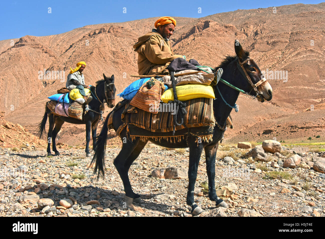 GORGES TOUDRA, MAROC - SEPT 25, 2016 : Les Berbères sont les ...