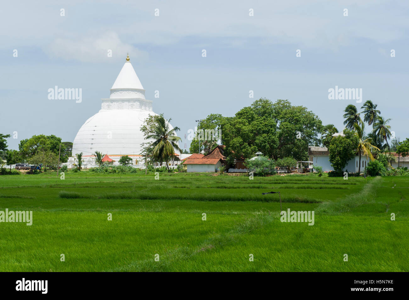 Tissamaharama raja maha vihara Banque de photographies et d’images à ...