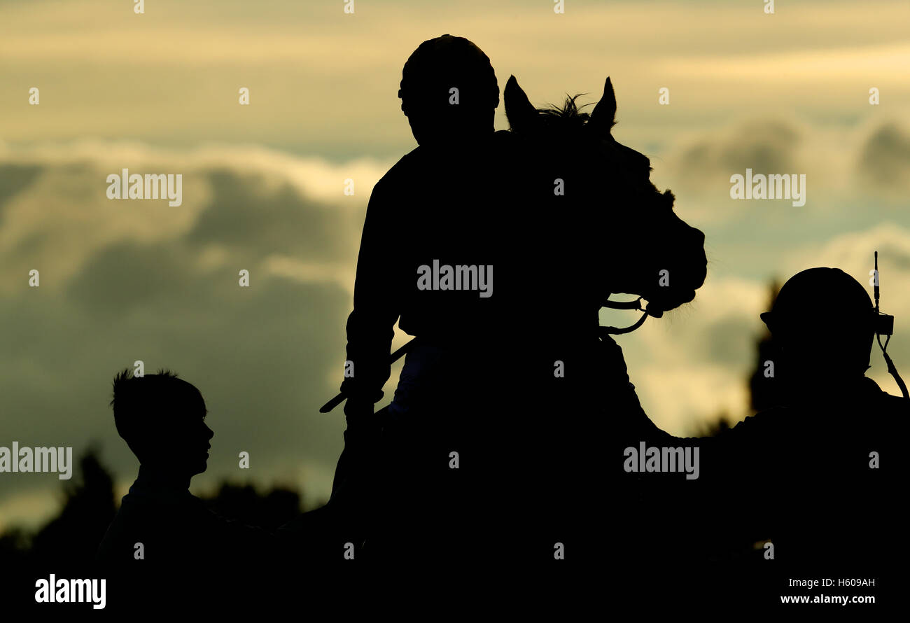 Philip enright faire Banque de photographies et d’images à haute ...