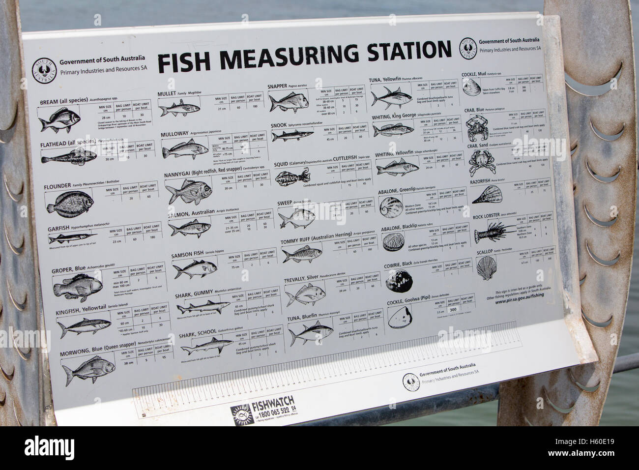 Station de mesure du poisson Banque de photographies et d’images à ...