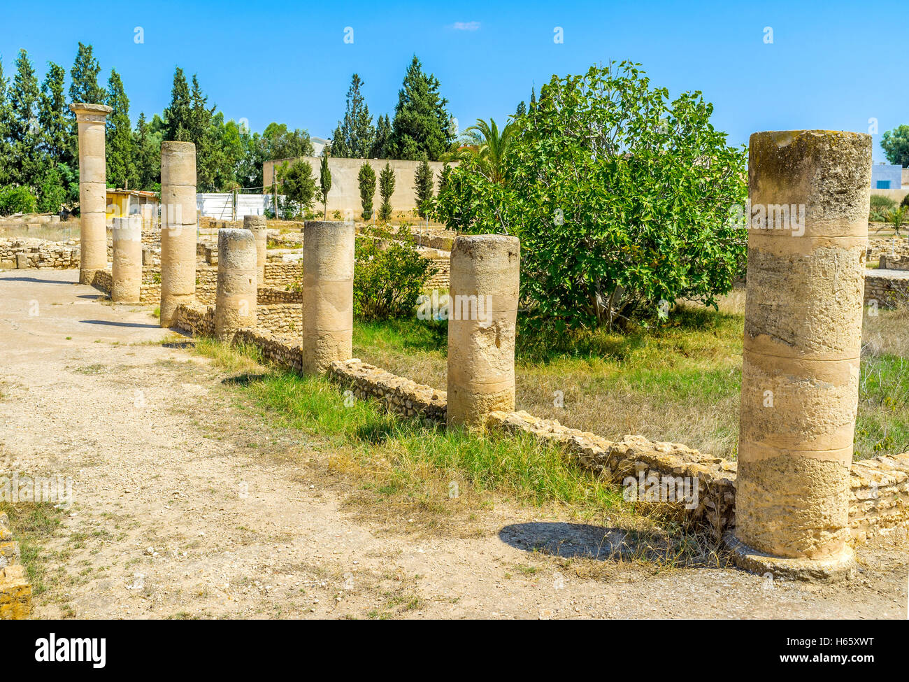 La rangée de colonnes en pierre était peut-être la façade de l'ancienne ...