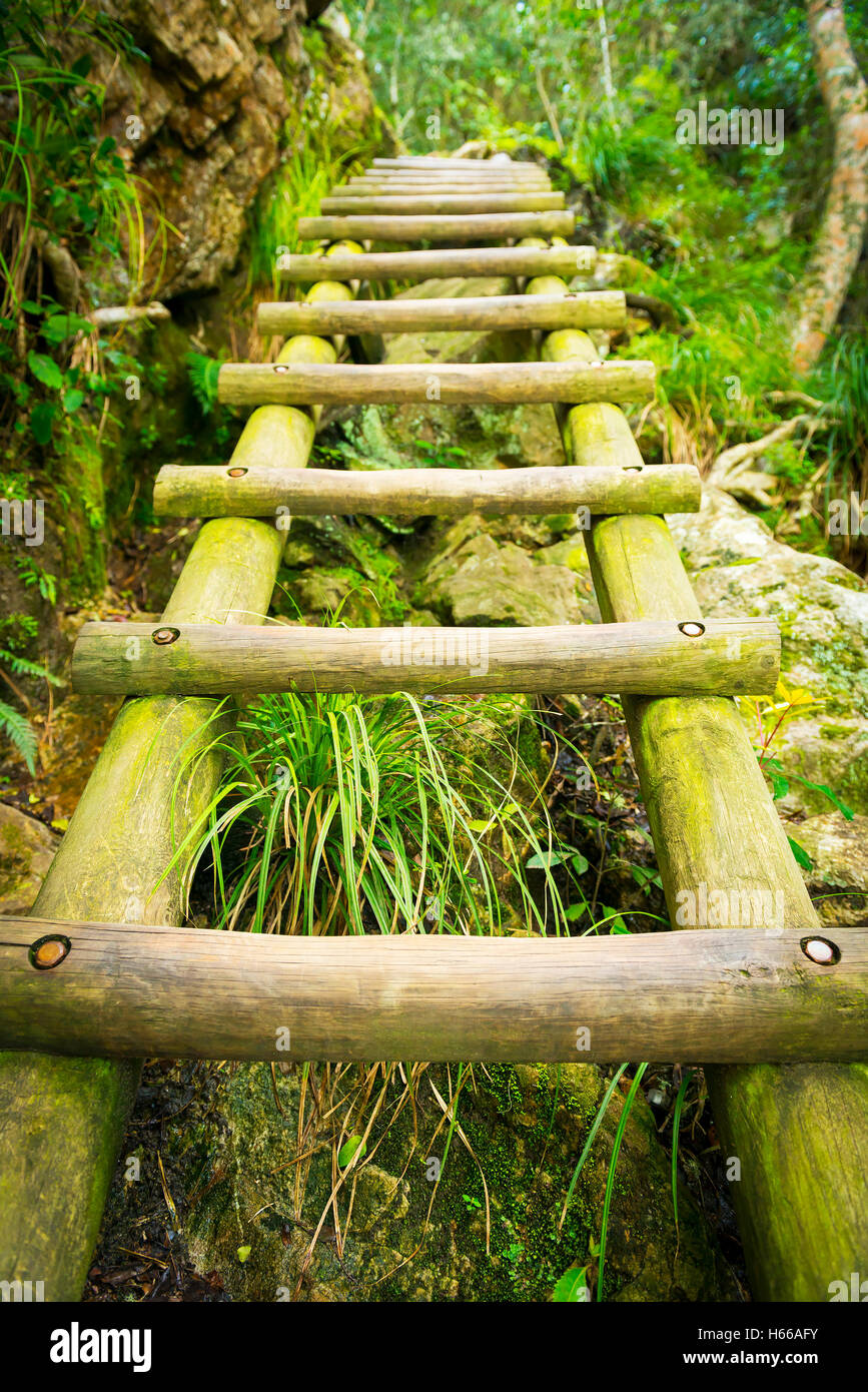 Squelette marchant Banque de photographies et d’images à haute ...