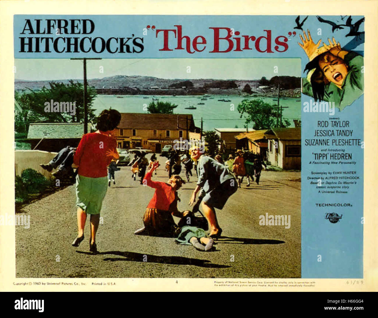 L'affiche des oiseaux Banque de photographies et d’images à haute résolution - Alamy