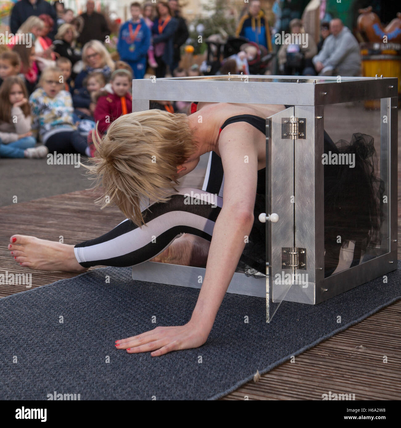 Les contorsionnistes du cirque se pressent dans un petit cube de verre ...