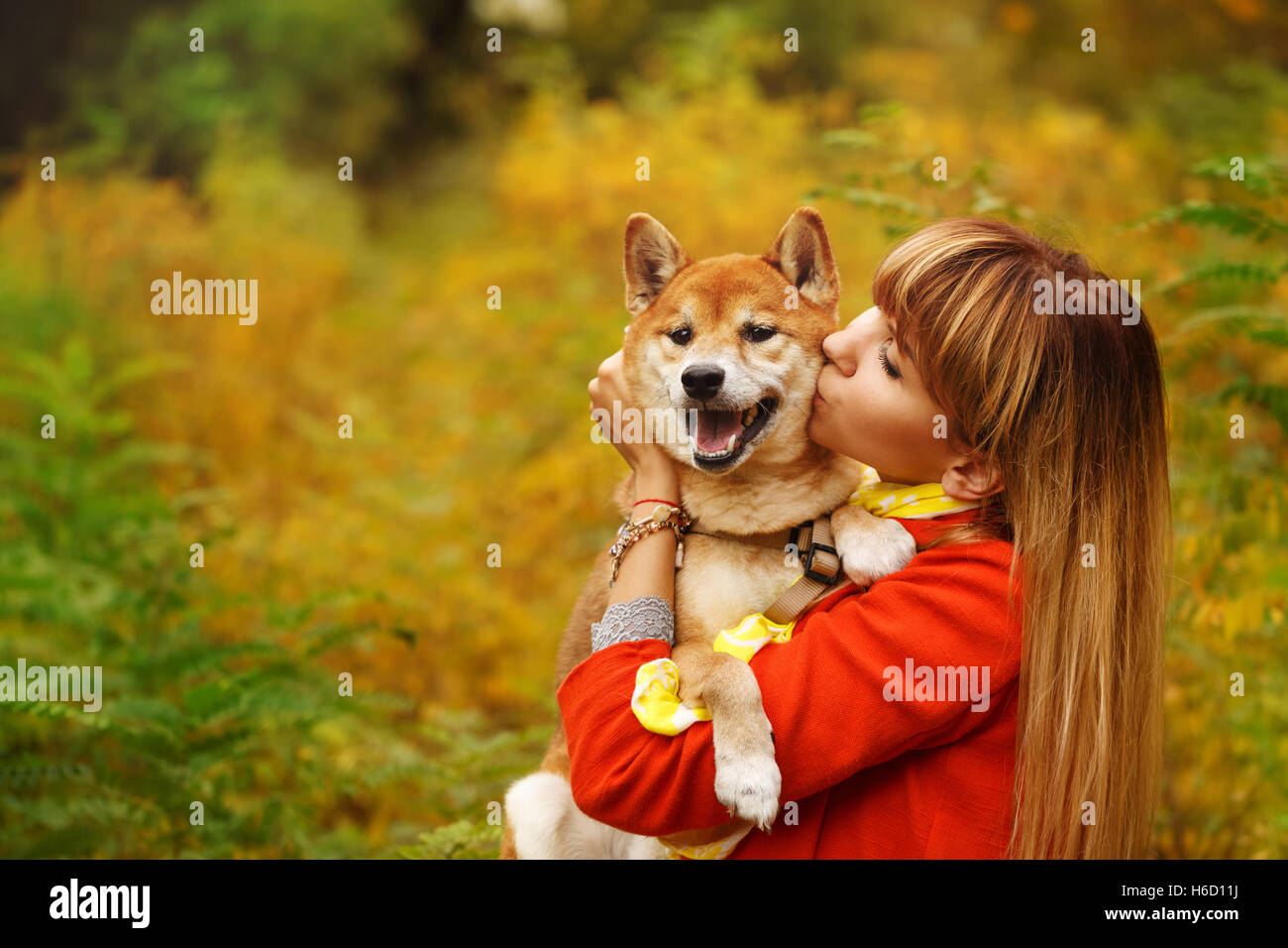 Girl kisses un Shiba Inu chien dans le parc de l'automne. Arbre d'chien. Animaux drôles et leurs ...