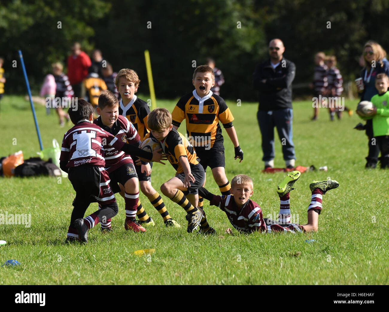 Rugby enfants Banque de photographies et d’images à haute résolution ...