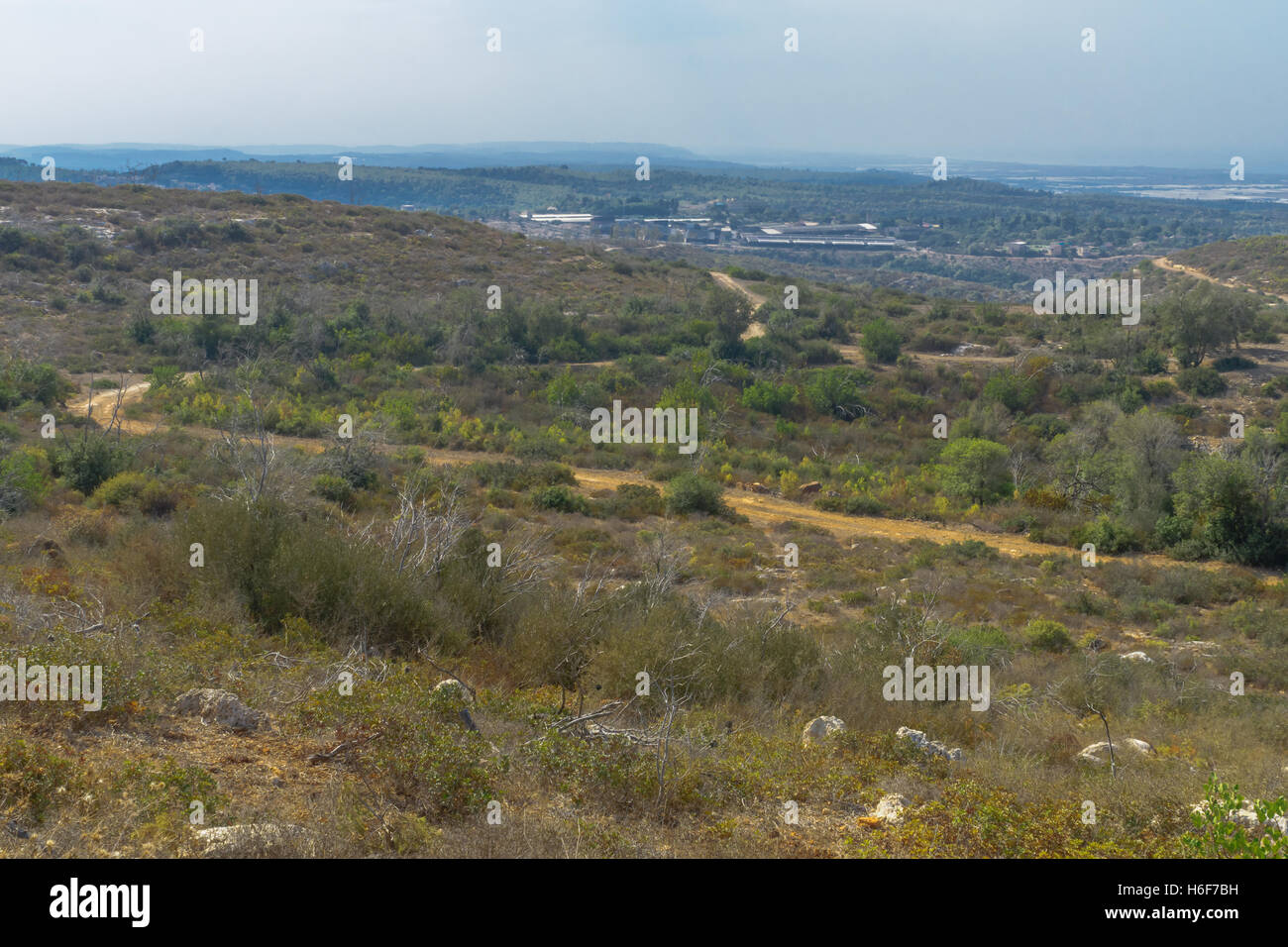 Le paysage dans le parc national du Mont Carmel dans le Nord d'Israël ...